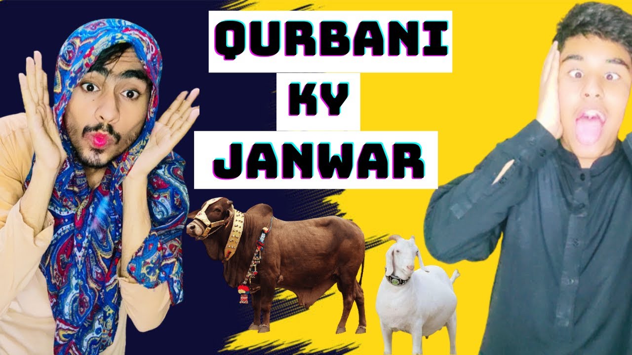 Reacting on Qurbani Memes With Patka Kuri( Balkees Kanchi) l Funny ...