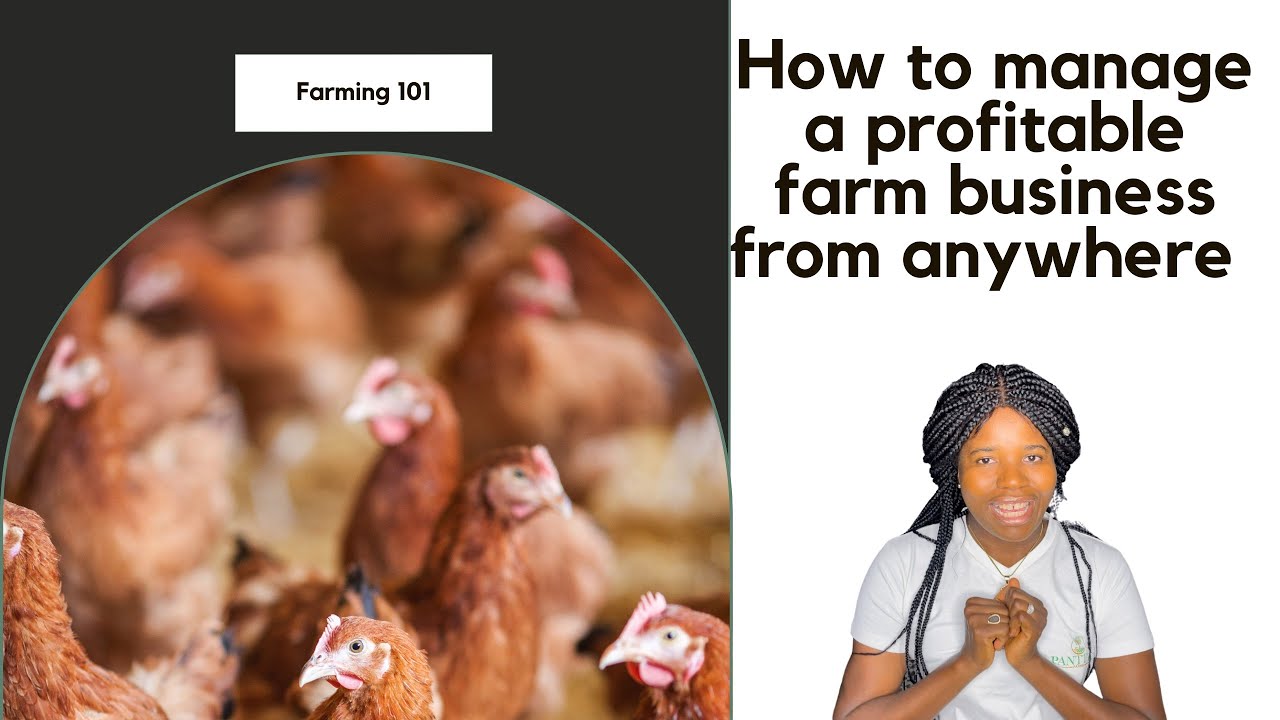 How To Manage A Profitable Farming Business From Anywhere | 6 Tips To ...
