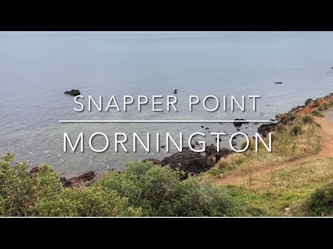 Snapper Point : Mornington - YouTube