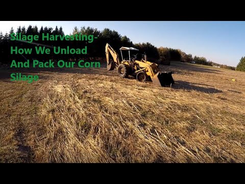 Silage Harvesting- How We Unload And Pack Our Corn Silage - YouTube