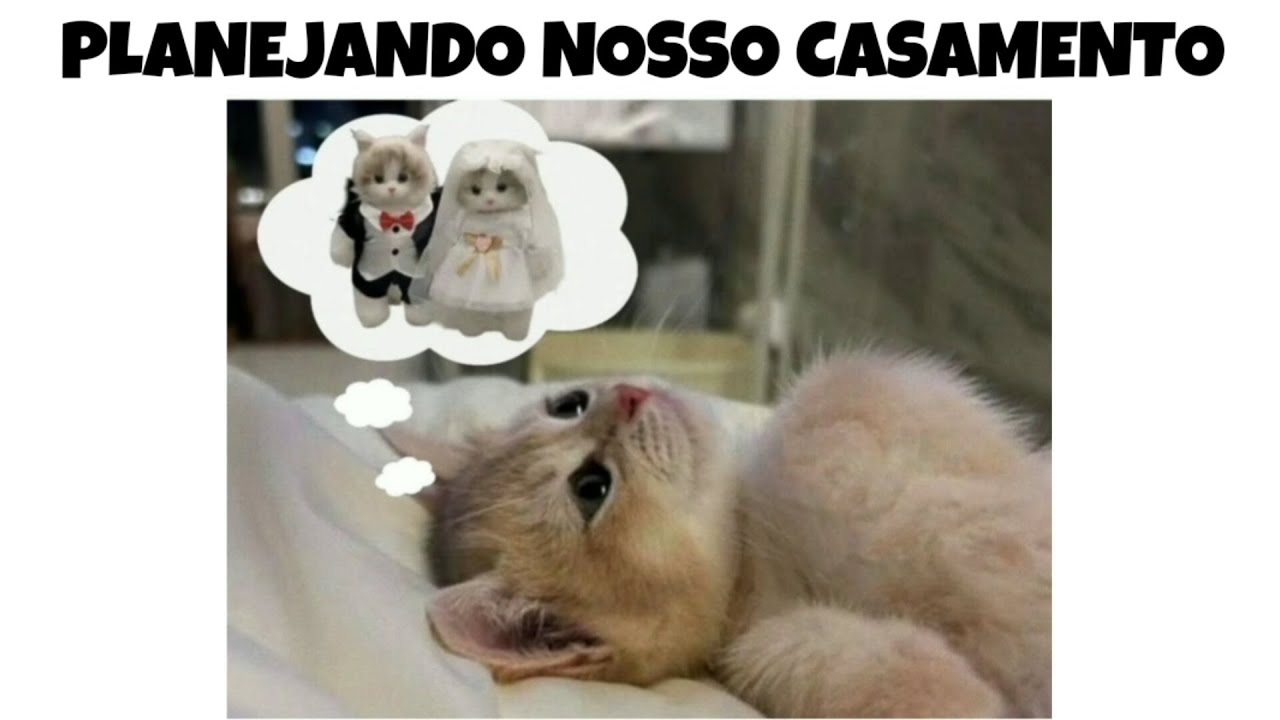 melhores MEMES em IMAGENS #meme #memes #memesbr - YouTube