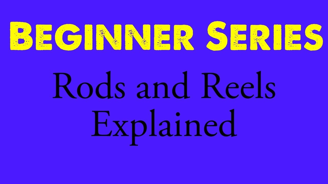 Beginner Series Rods and Reels Explained - YouTube