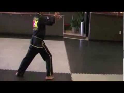 National Karate Brown Belt Forms - YouTube
