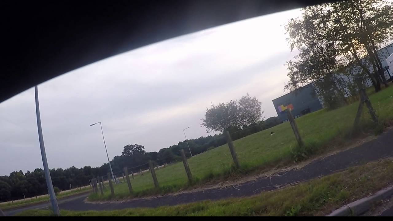 car hawking female sparrow hawks - YouTube