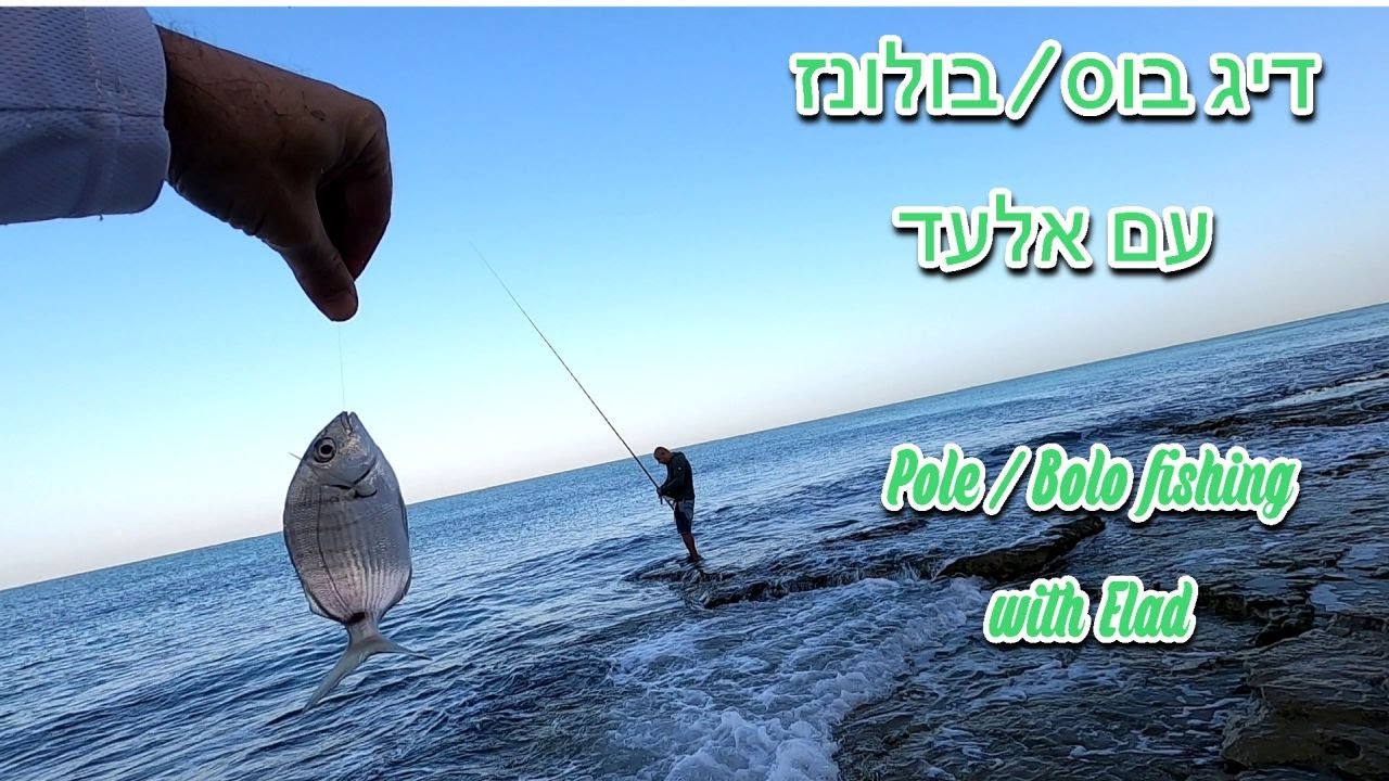 דיג בוס / בולונז עם אלעד - מגוון דגים ביום של כיף - YouTube