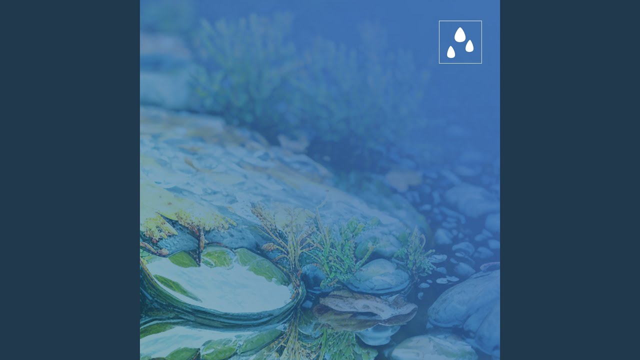 Drizzly Morning II (Rain) - YouTube