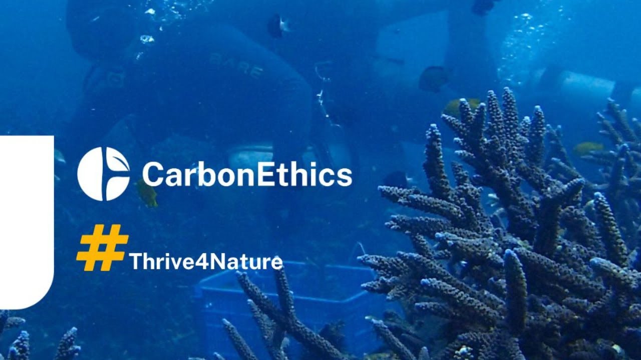 CarbonEthics 4th Anniversary - YouTube