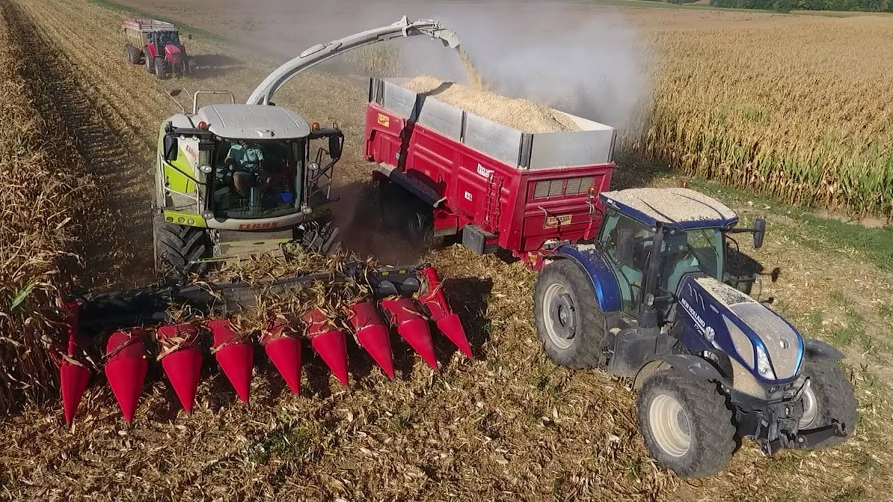 Ensilage avec un cueilleur à maïs d'une moissoneuse ! Ensilage de maïs ...