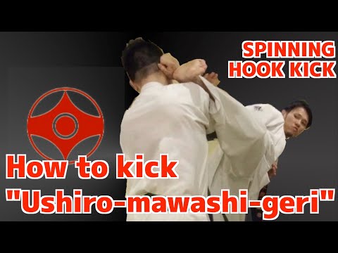 【Kyokushin Krate technique】How to kick \