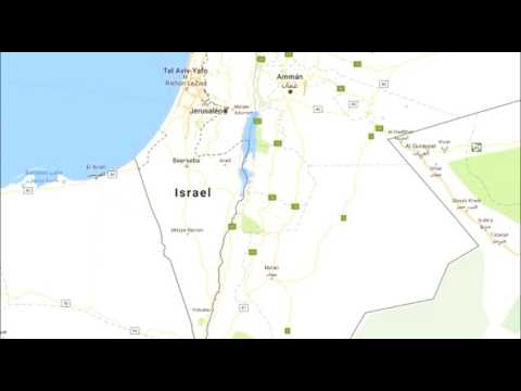 Google borra a Palestina del mapa