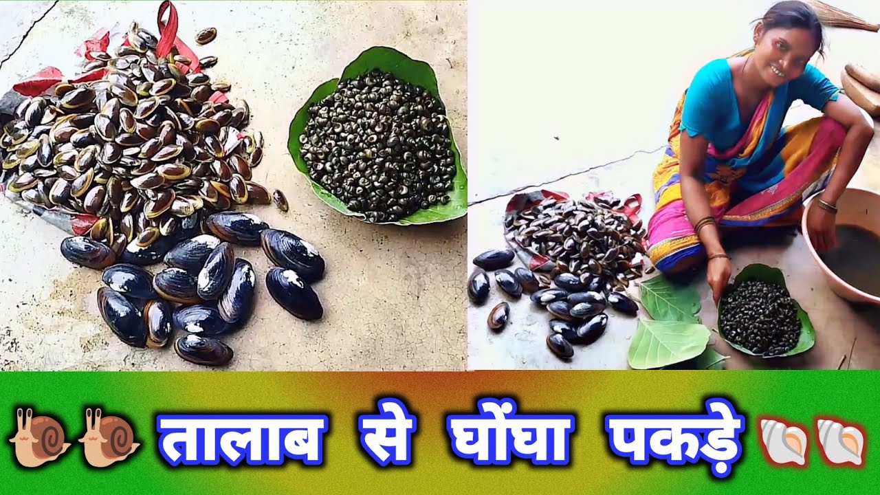 Ghongha // Snail // Pearl // Small Snail and Pearl 🐌🐌🐌🐌🐌🐚🐚🐚🐚🐚 - YouTube