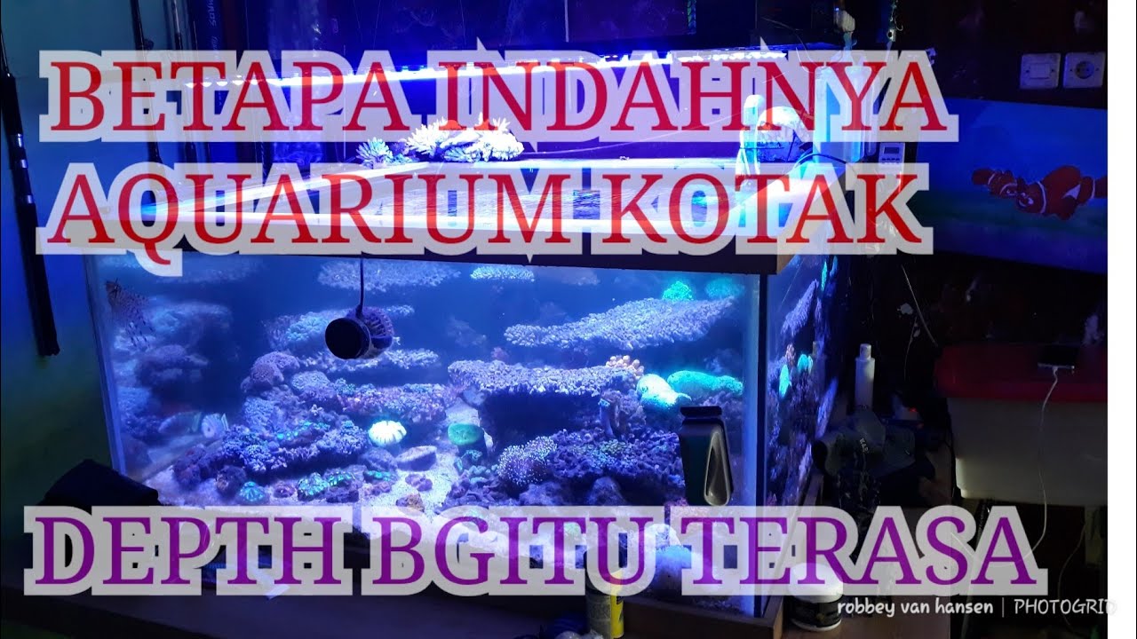 AQUARIUM KOTAK, CARA MUDAH MENDAPATKAN EFEK DALAM.. - YouTube