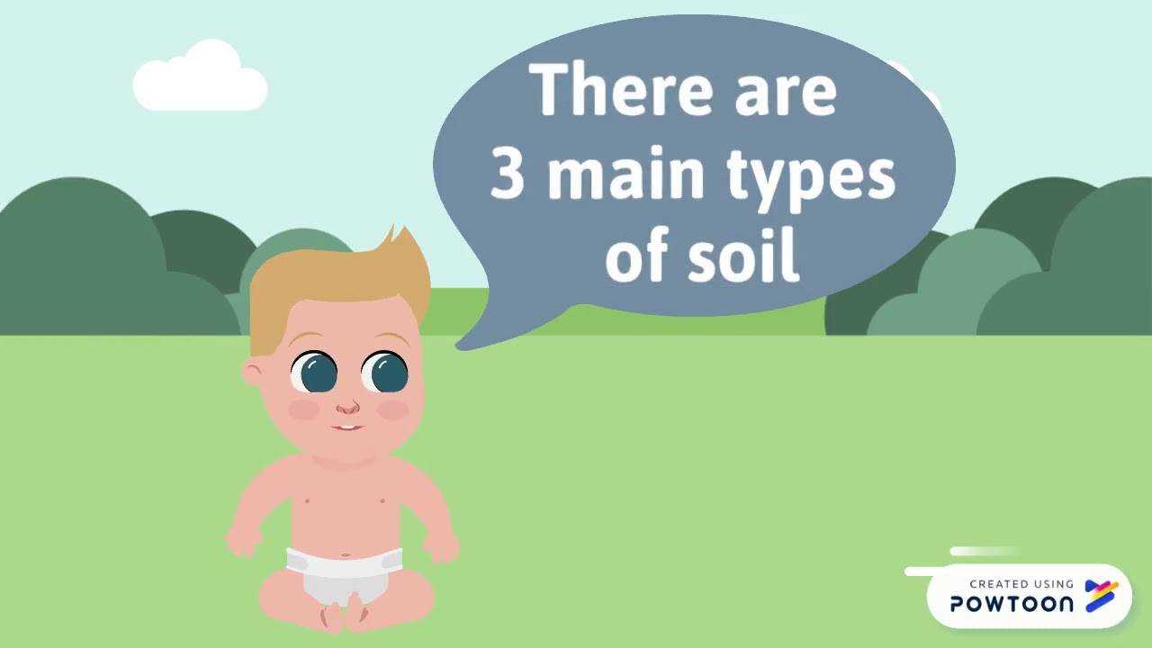 Factors Affecting Plant Growth YouTube factors-affecting-plant-growth-youtube