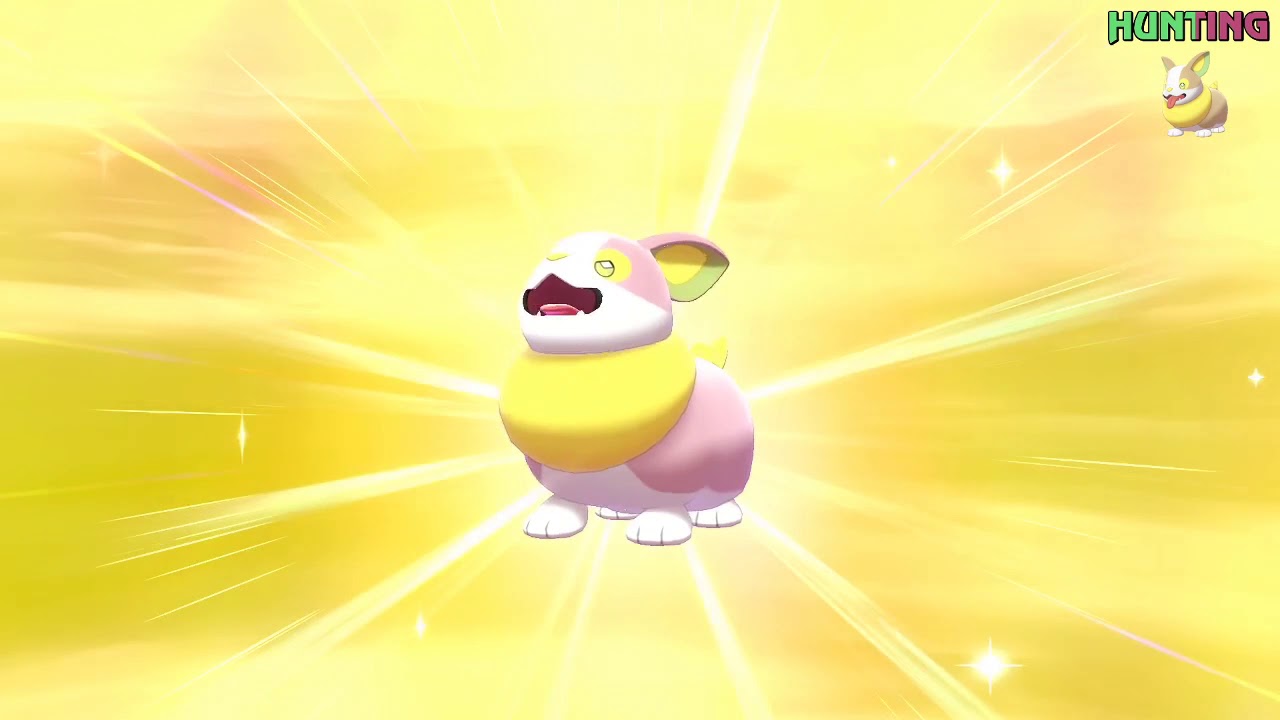 10 Egg shiny Yamper hatch - VOD Highlight - YouTube