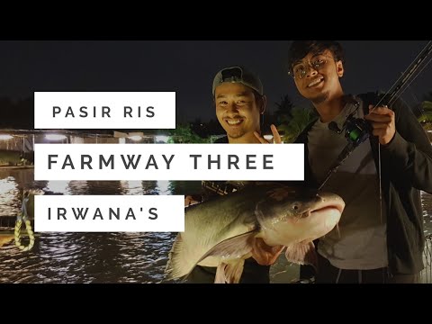 Farmway 3 Pasir Ris Fresh Water Pro Pond - By ( Patv Productions ...