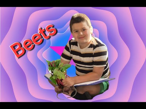 Andrew Harvests Our Beets! 🌿 #Satisfying #Gardening #Harvest - YouTube