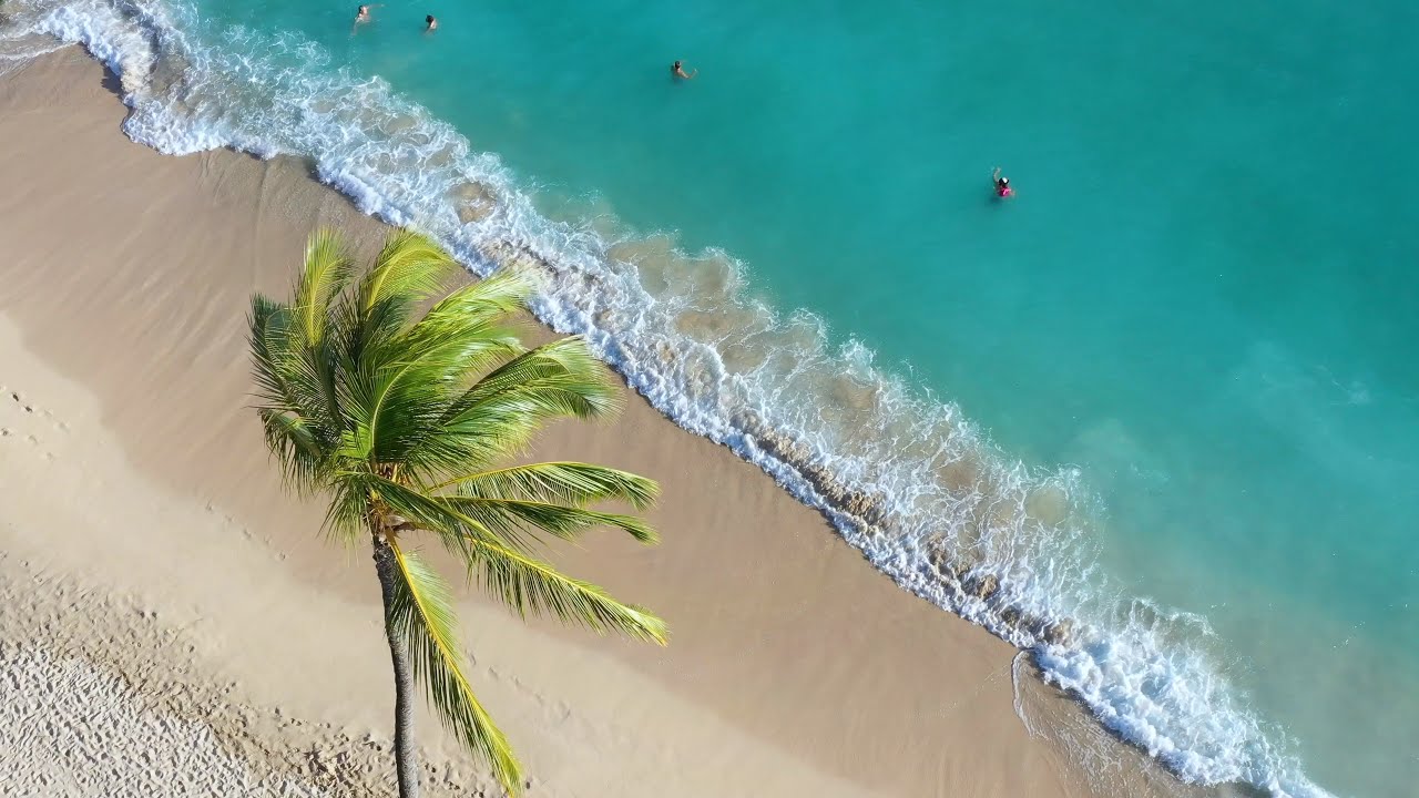 Tropical beaches with relaxing music! - YouTube