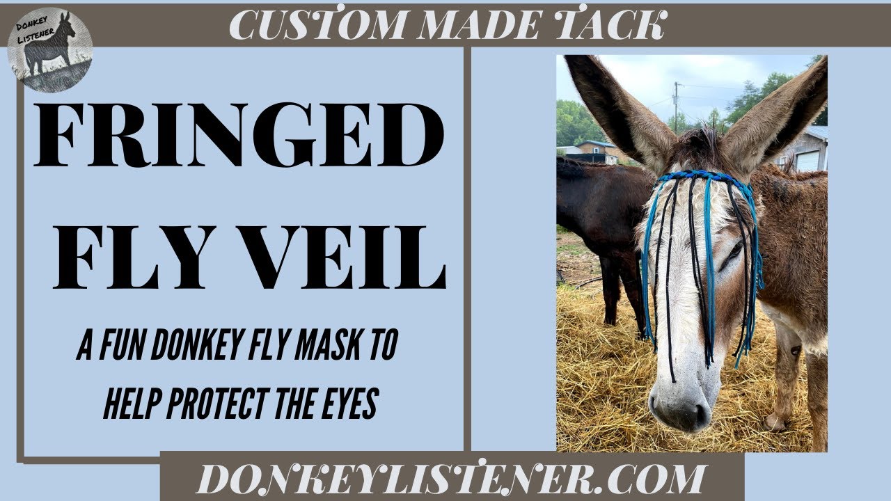 Custom Fringe Fly Veil (Donkey Fly Mask) - YouTube