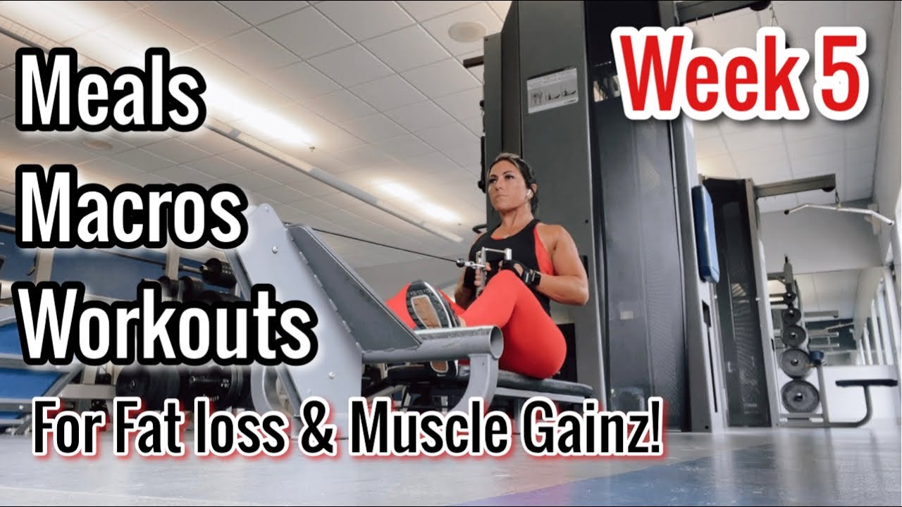 WEEK 5 CUT | FULL WEEK OF MEALS & WORKOUTS FOR FAT LOSS | IN WITH JEN ...