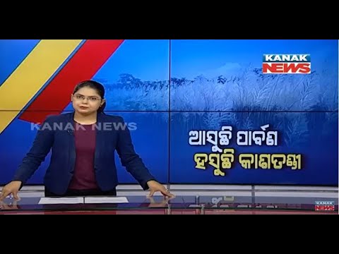 Damdar Khabar: Kasatandi Flowers - Ready To Welcome Goddess Maa Durga ...