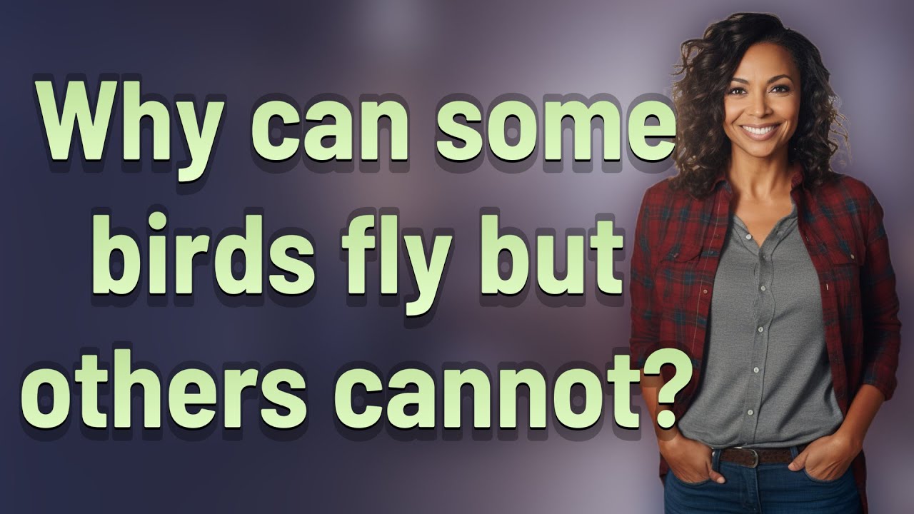 Why can some birds fly but others cannot? - YouTube