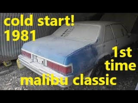 cold start. first time for the 1981 chevy malibu classic - YouTube