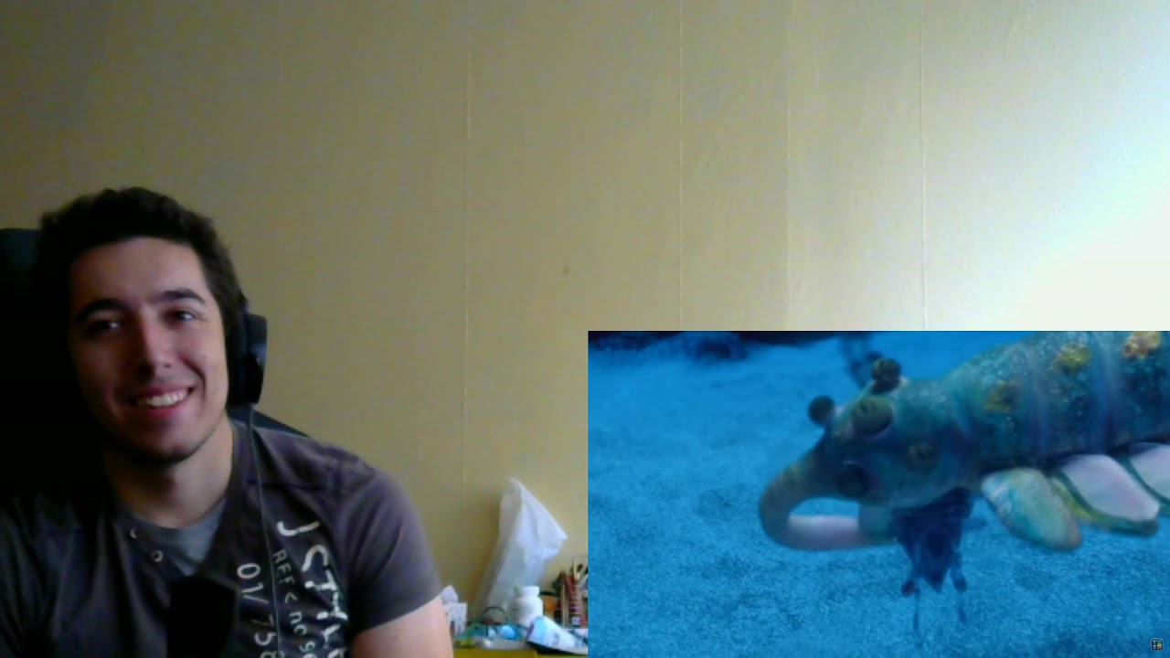 When Earth Was In Beta By TierZoo Reaction - YouTube