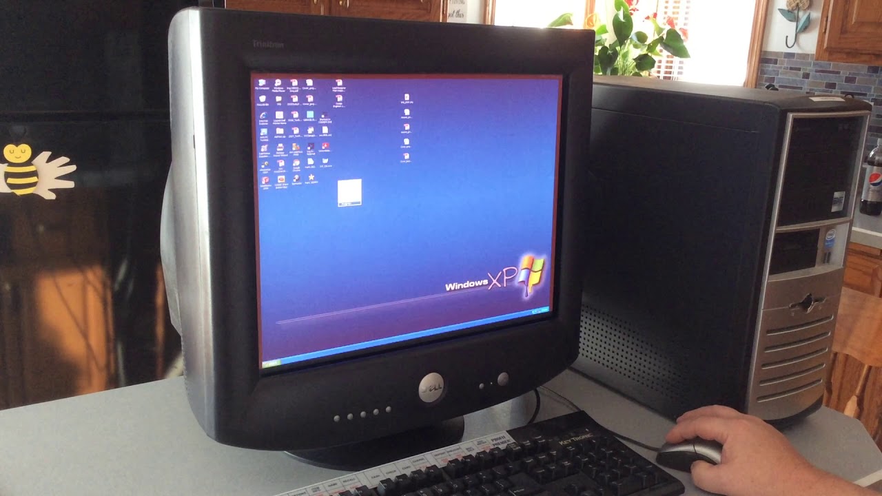 Vintage Dell P1130 21" PC/Gaming CRT Monitor - 1 - YouTube