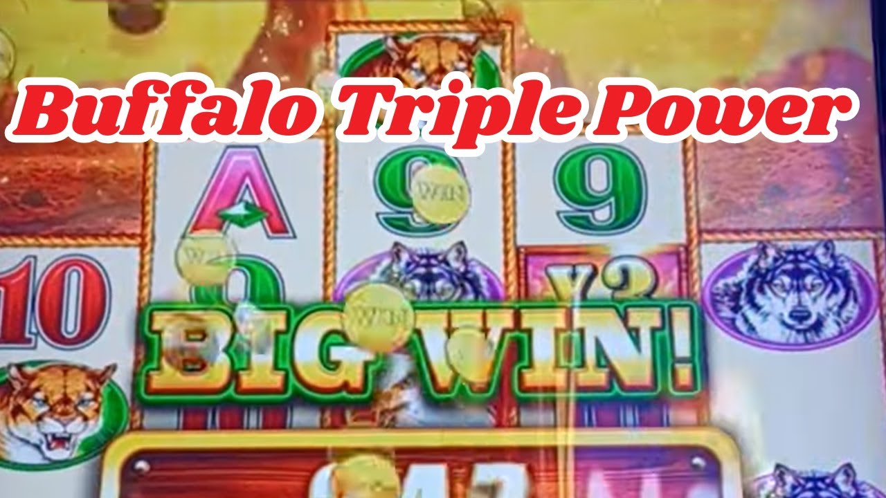 Buffalo Triple Power Live Play - YouTube