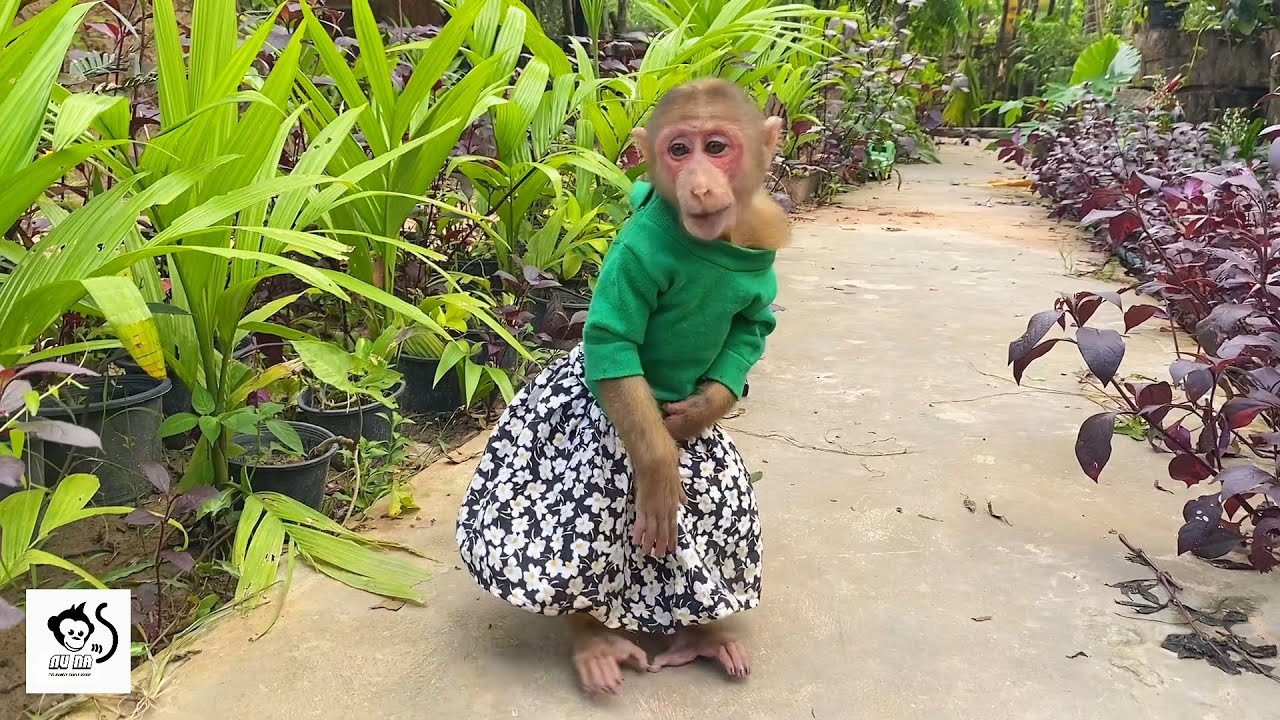 Nunua Is Very Free To Play In The Garden Alone - YouTube