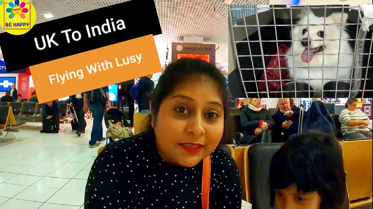 Flying Back To India From UK With My Pet Dog Guide | Documents, Charges ...