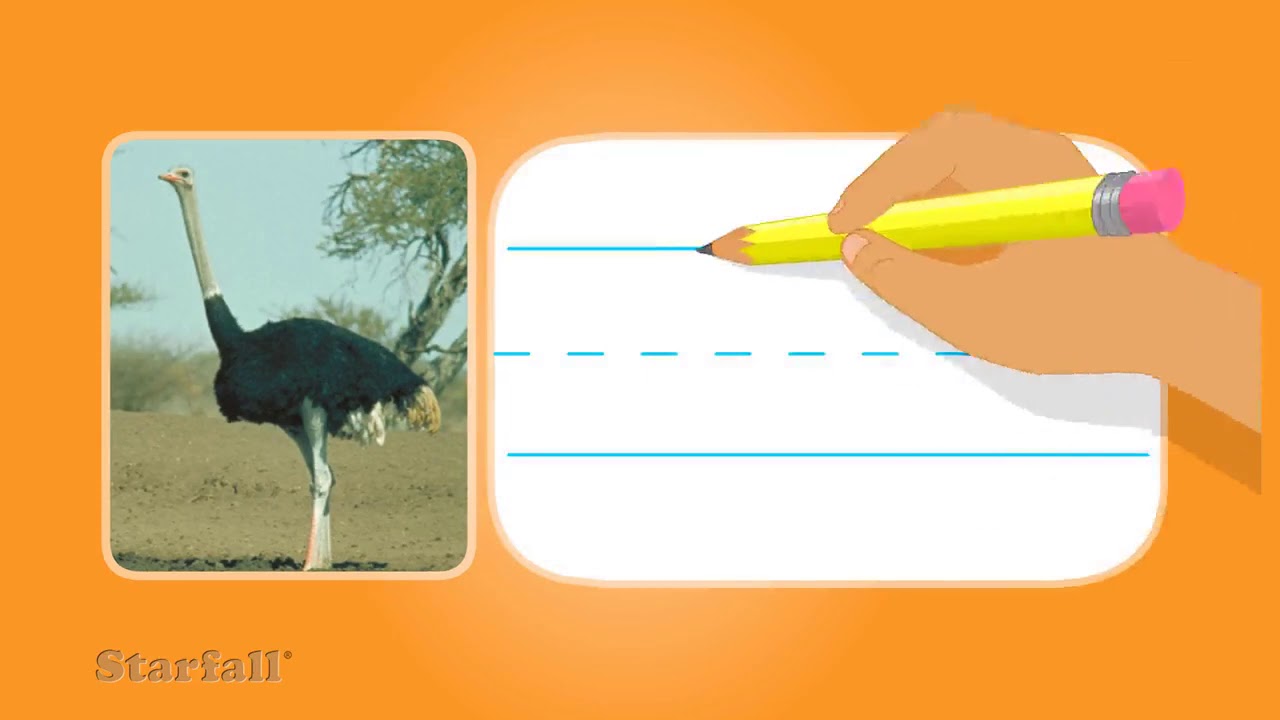 Starfall Ostrich - YouTube