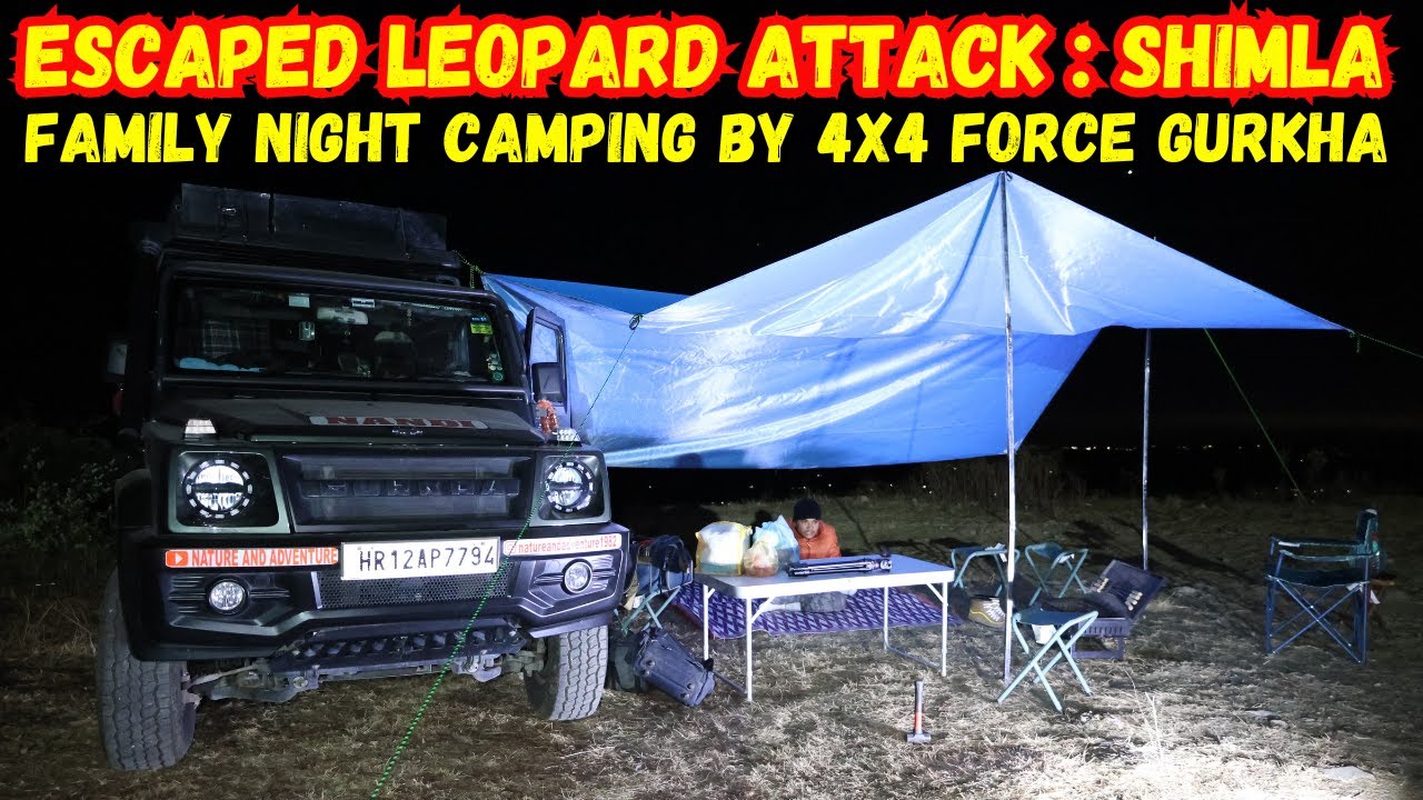 Leopard Zone Night Family Car Camping Lift Kit Lifted Force Gurkha 4x4 Shimla Kufri Himalaya ...