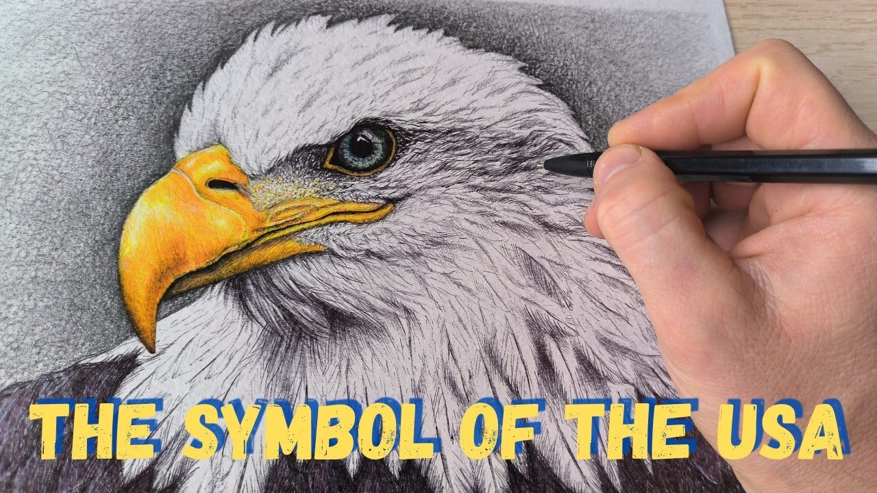 Drawing a bald eagle with colored ballpoint pens | Art ON - YouTube