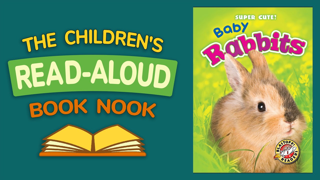 Baby Rabbits | Read Aloud Book for Kids | Super Cute Springtime Animal ...