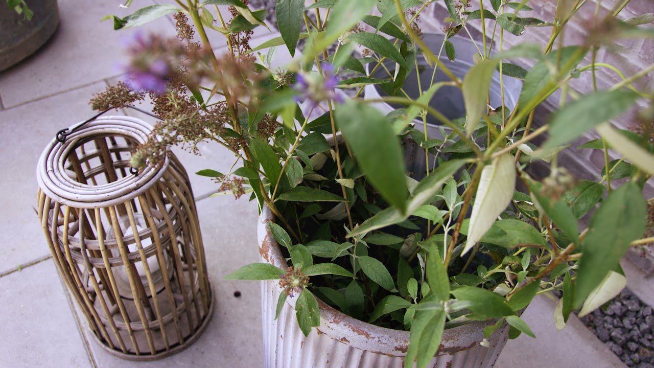 IBF Indretning af terrasse med boligstylist Lene Eriksen - YouTube