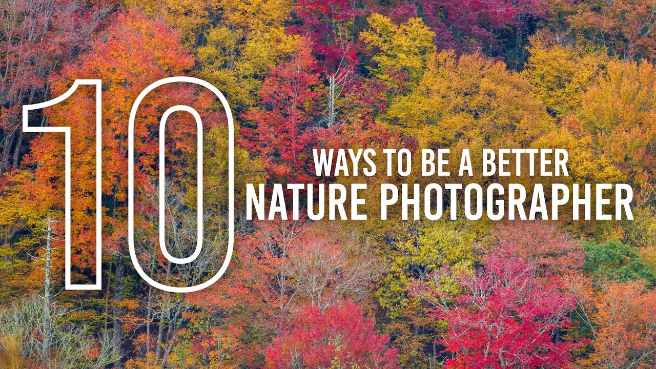 10 Ways to be a Better Nature Photographer - YouTube