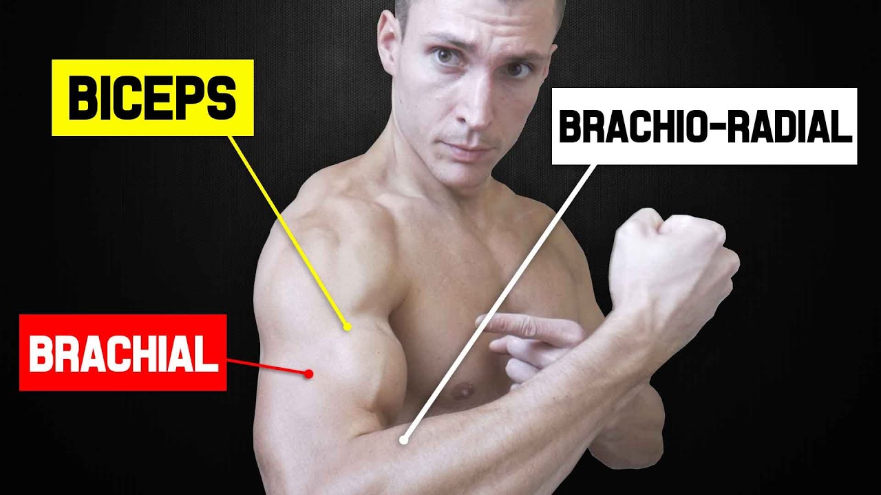 Biceps : les 2 seuls exercices dont vous avez besoin ! (cible tout ...