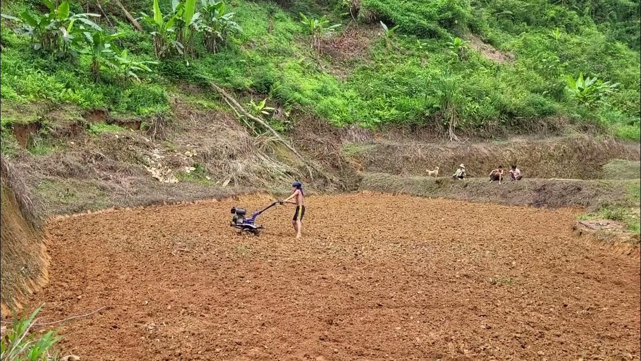 Hnub no wb ob niam txiv mus ua liaj - YouTube