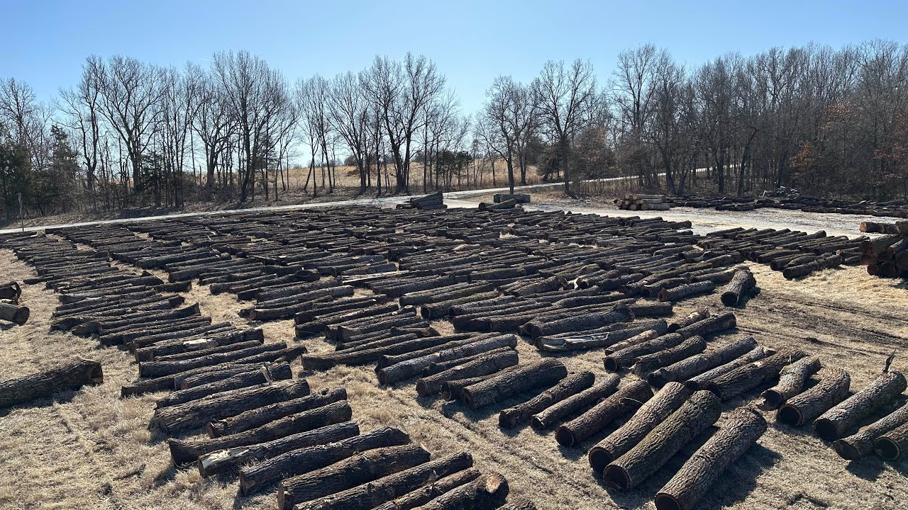 The log yard is nearly full - YouTube