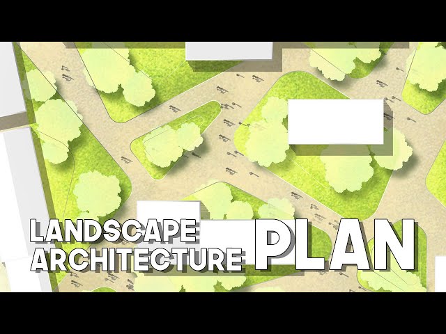 Architectural Site Plan Trees