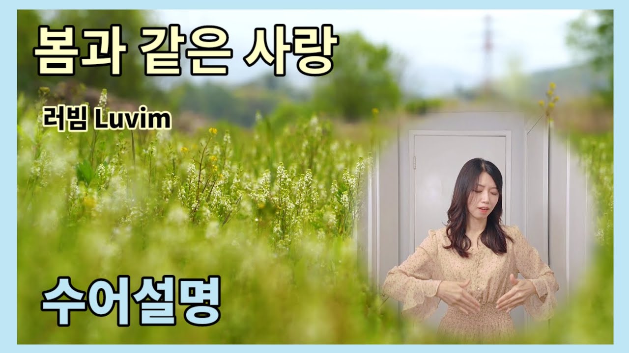 봄과 같은 사랑 | 러빔 (Luvim) 정규 1집 | 수어설명 🌸 수화설명 | 거울모드 [수어설명] - YouTube