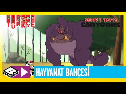 SEVİMLİ KAHRAMANLAR HİKAYELER | Çılgın Hız Treni  | Boomerang TV Türkiye
