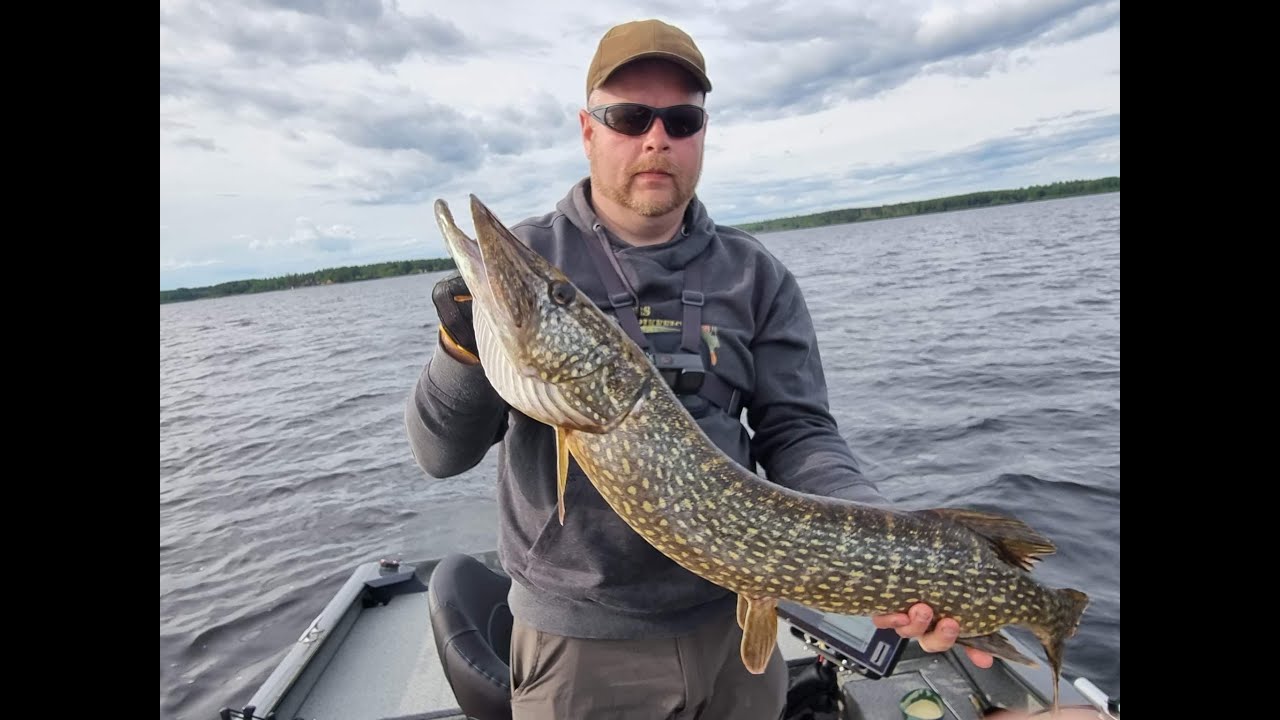 Mega Live i Bäsingen Version 2 (Team RumpMas Fishing) - YouTube