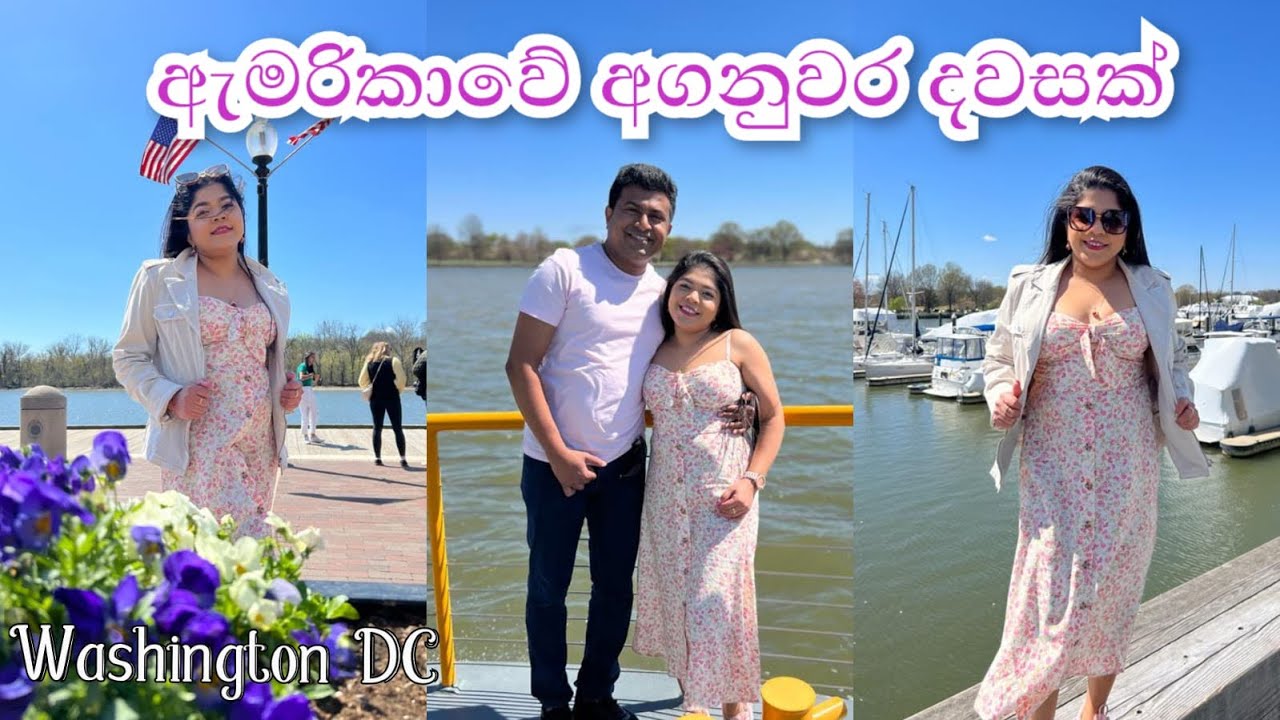 ඇමරිකාවෙ අගනුවර දවසක් / cherry blossom festival in Washington DC 🌸 Aura in America 🇱🇰 ️🇺🇸 - YouTube