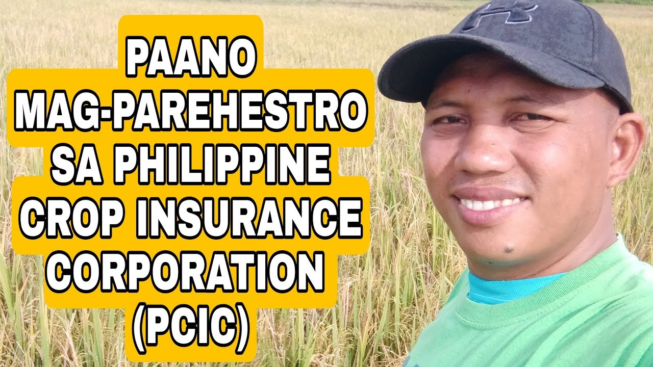 PAANO MAG-PAREHESTRO SA PHILIPPINE CROP INSURANCE CORPORATION (PCIC ...