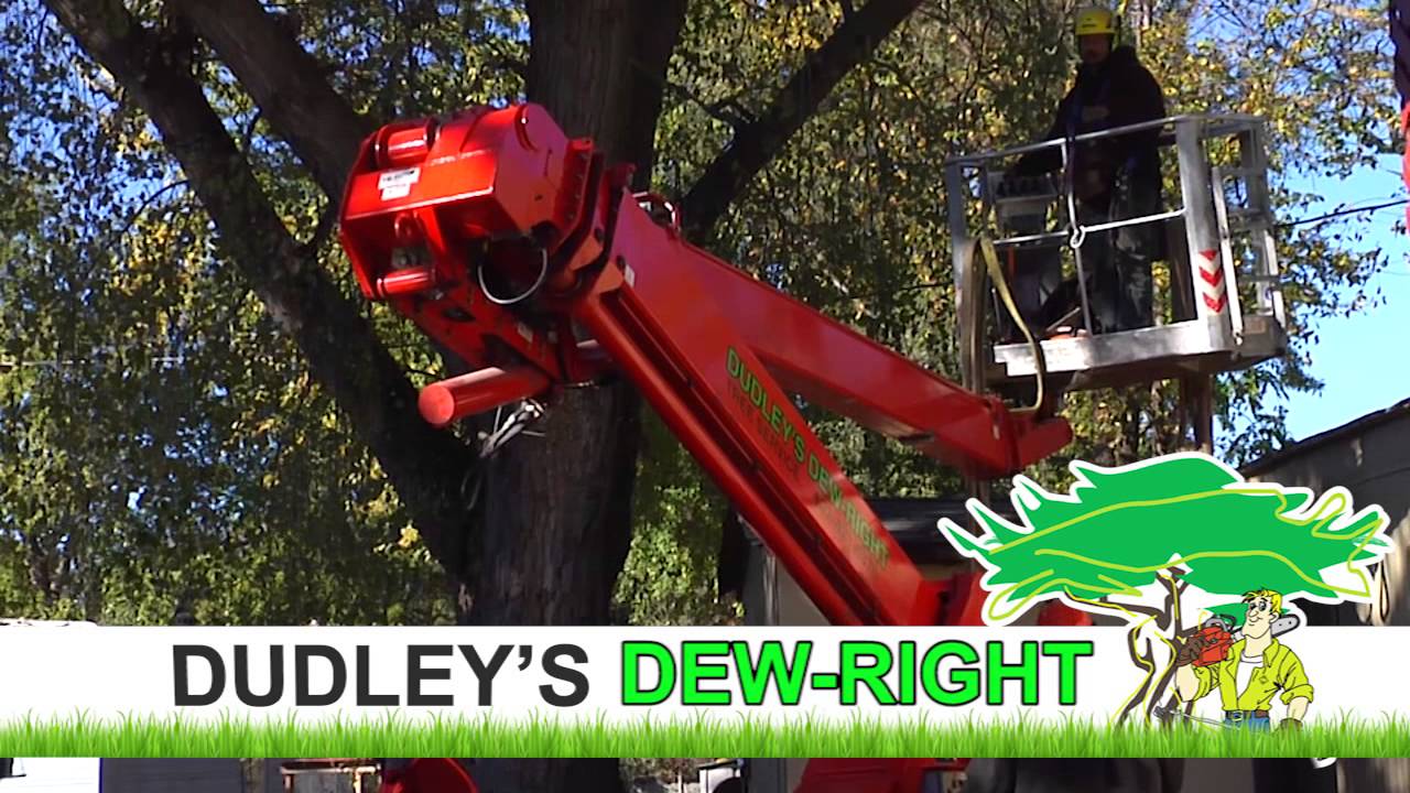 Dudley's Dew Right - Tree Service Done Right - YouTube