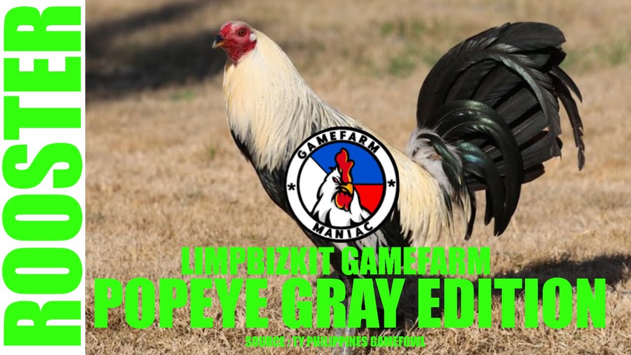 POPEYE GRAY EDITION | LIMPBIZKIT GAMEFARM - YouTube