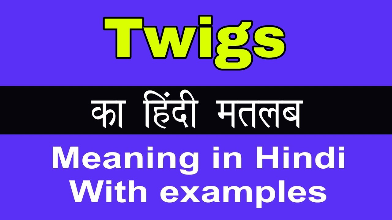 Twigs Meaning in Hindi/Twigs का अर्थ या मतलब क्या होता है - YouTube