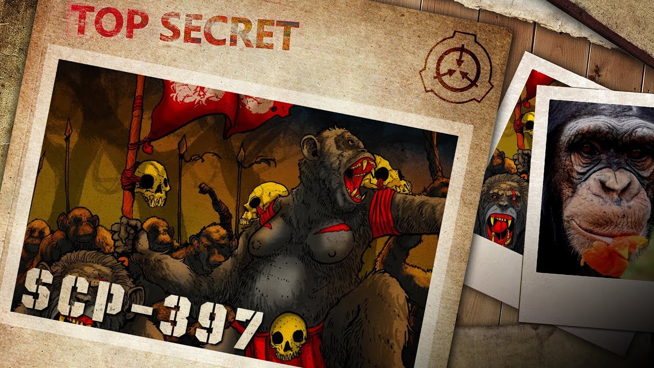 【SCP基金會】SCP-397｜一隻人科動物 有高度智商的猩猩 - YouTube